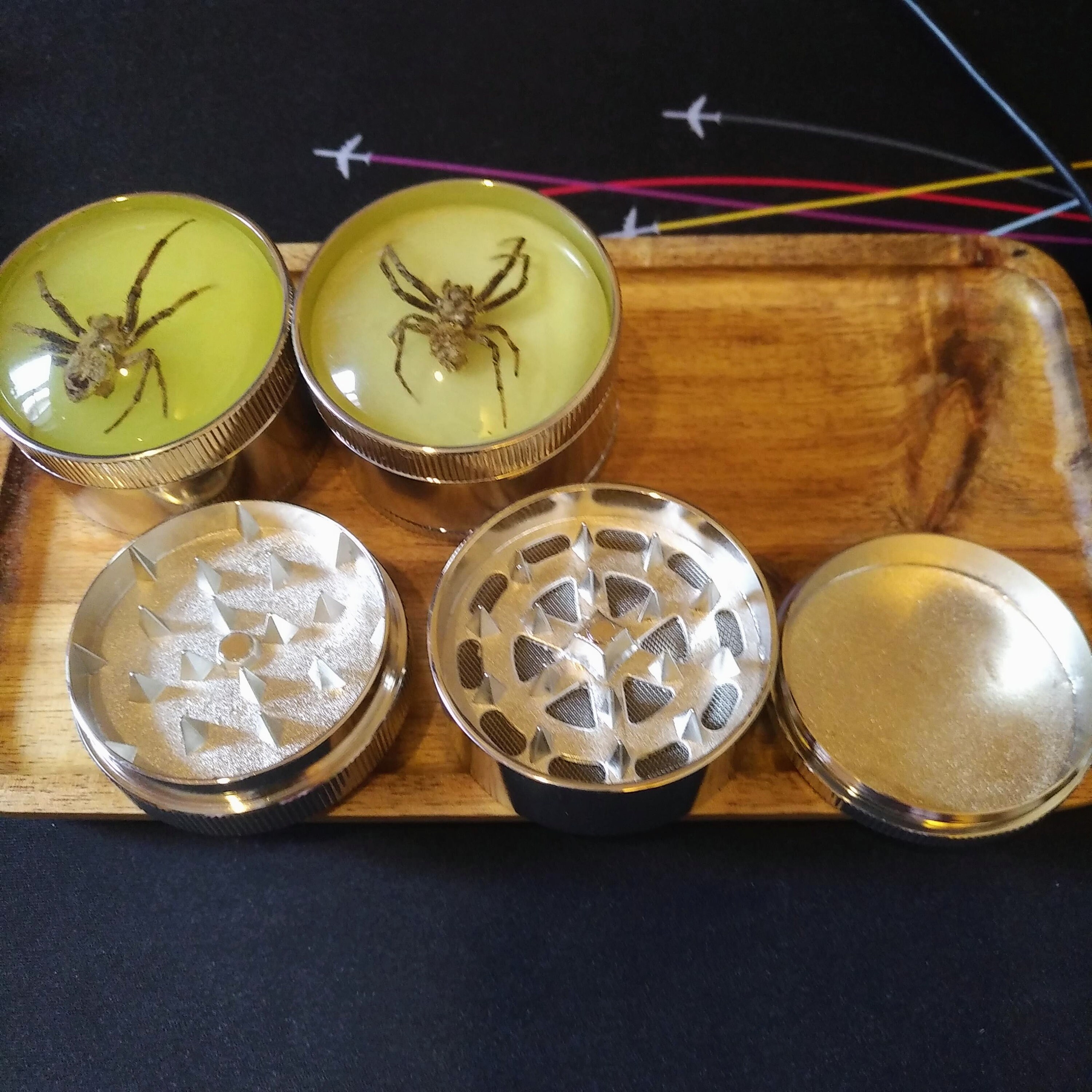 52mm Wide Luminous Spider/scorpion/bee Specimen & Zinc Alloy - Etsy