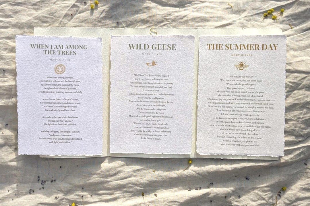 Mary Oliver Poetry Set – 3 Poems on Handmade Paper – Wild Geese, the ...