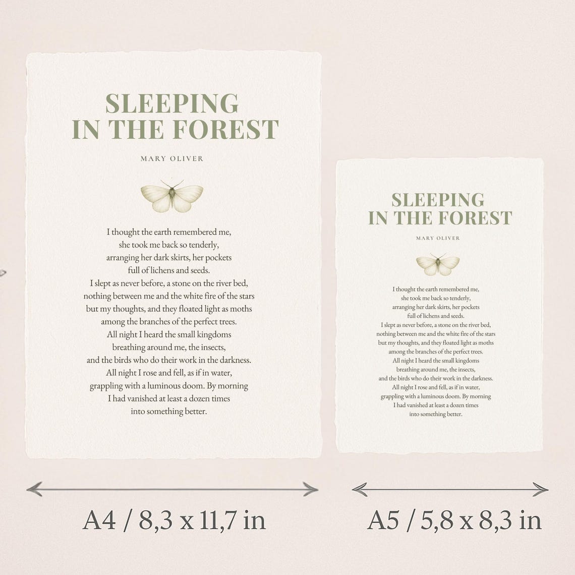 Sleeping in the Forest by Mary Oliver Poem Print – Fine Art Poetry Wall ...