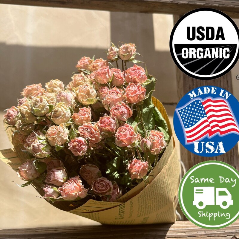 Dried White Roses - Etsy