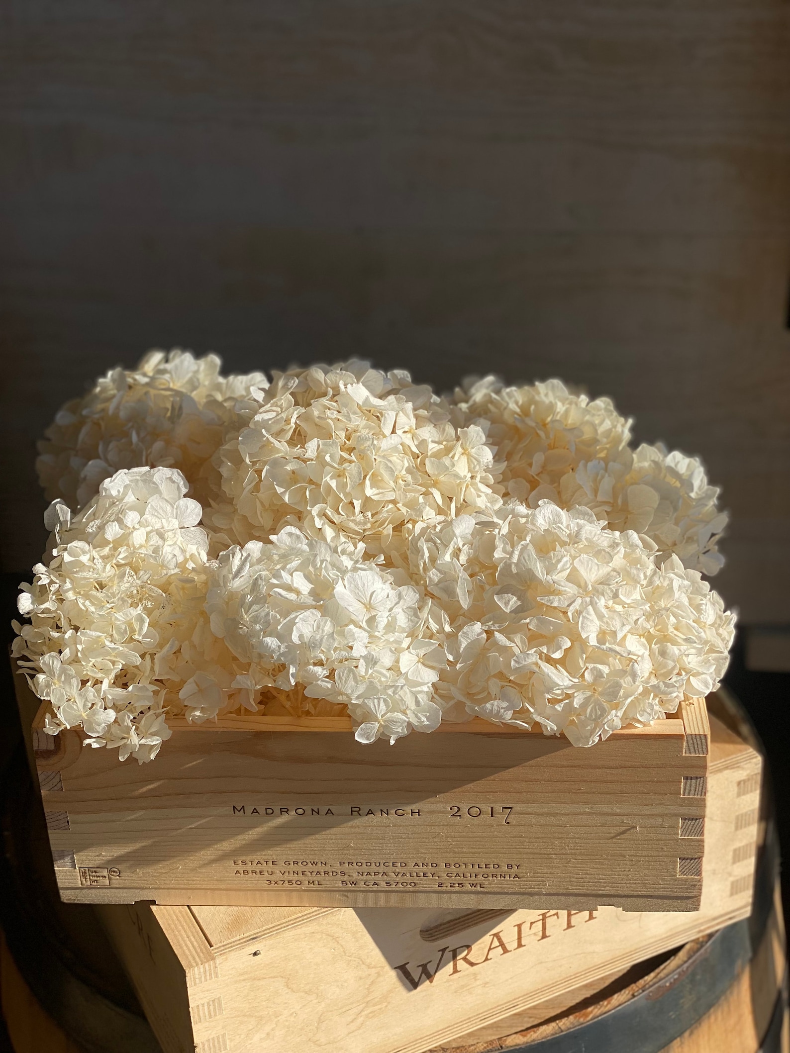 ORGANIC Ivory-white Dried-preserved Hydrangea LARGE Bundle (3 HEADS) - Etsy