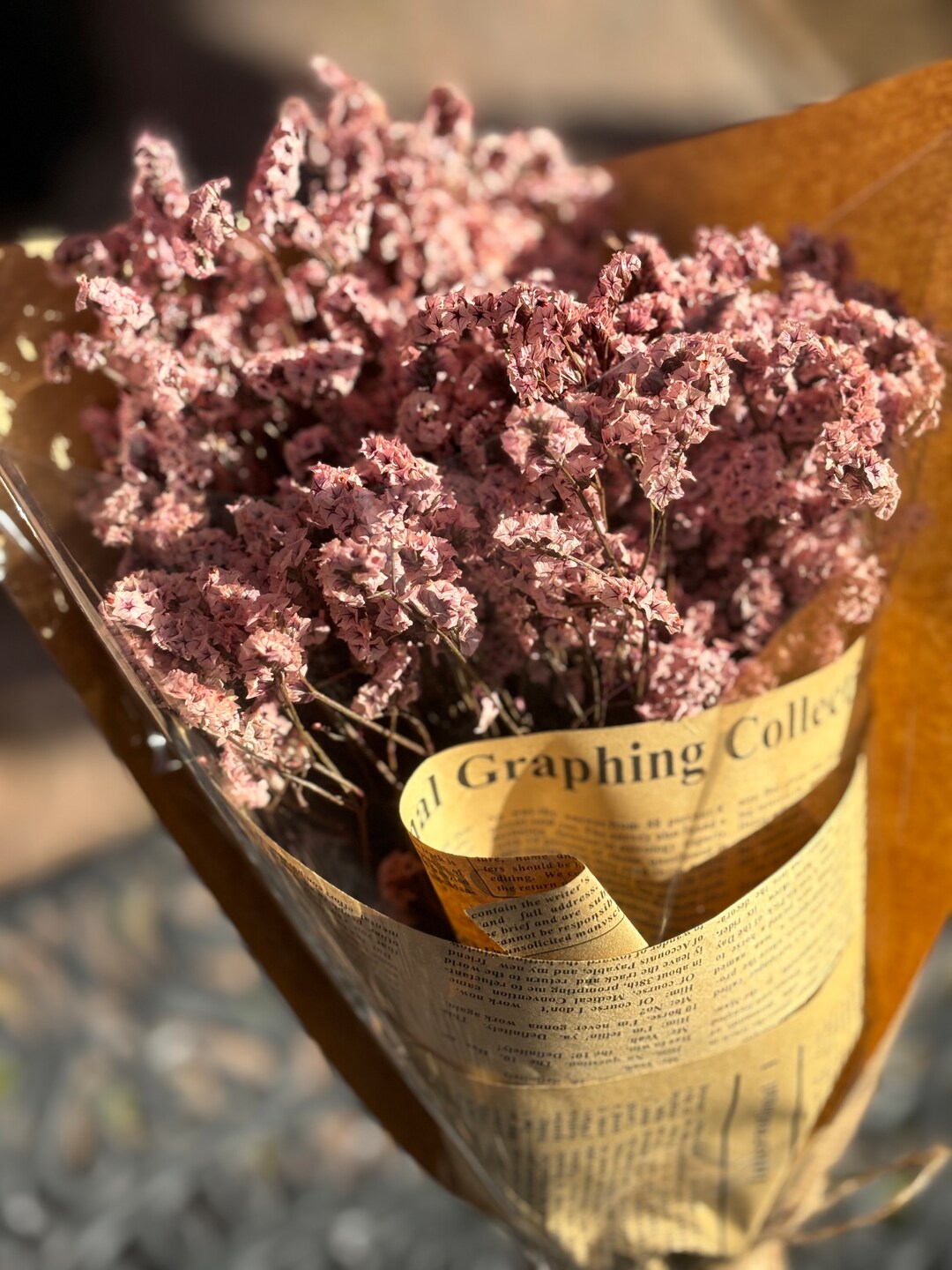 Dried-preserved Pink Crystal Grass Dried Flower Caspia Large 20pcs ...
