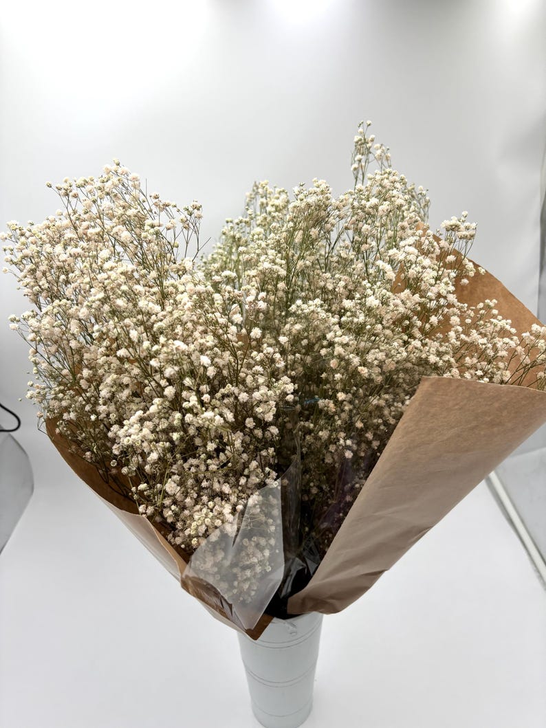 20-inch Dried Baby's Breath Bunch | Wedding Floral Decor - Etsy