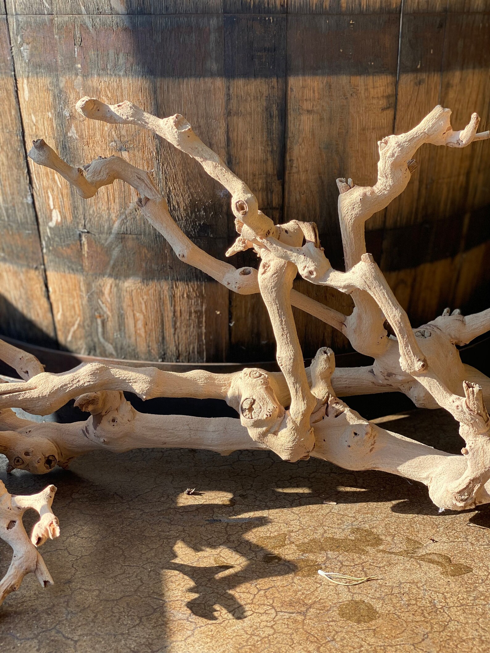 ORGANIC Sandblasted Natural GRAPEWOOD/GRAPEVINE Branch 24 Inch - Etsy