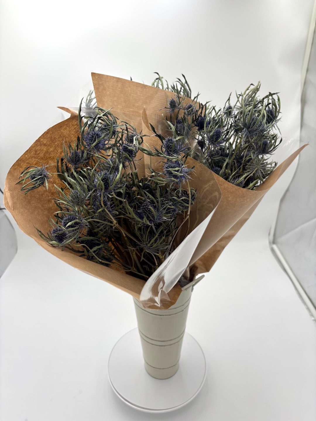 Dried Eryngium, Natural Sea Blue Thistle, Sea Holly Bundle, Large 20 ...