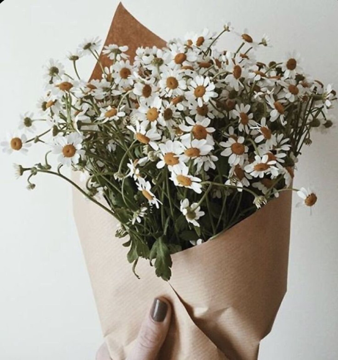 ORGANIC Dried Chamomile Flower BUNDLE Candle-making, Soap-making, DIY ...