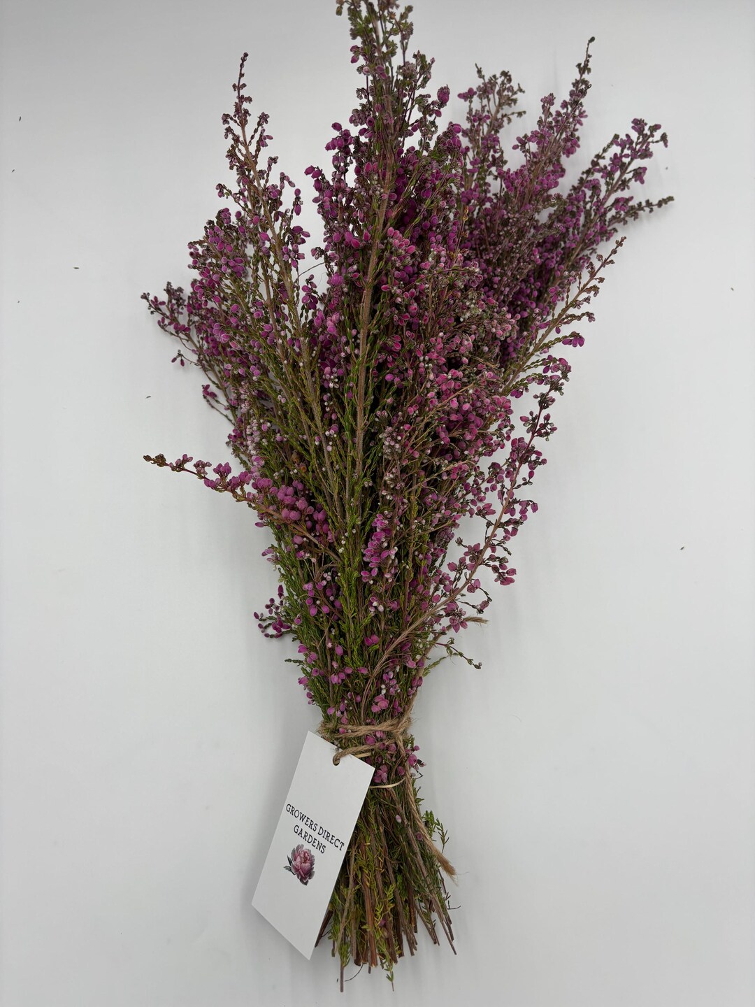 Dried-preserved Heather Pink Flower Bouquet, Dried Heather Flower ...