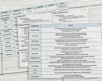 StudyGuideGirl - Etsy