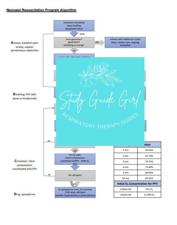 Study Guide - Foundations of Neonatal Resuscitation - PDF Download - Etsy