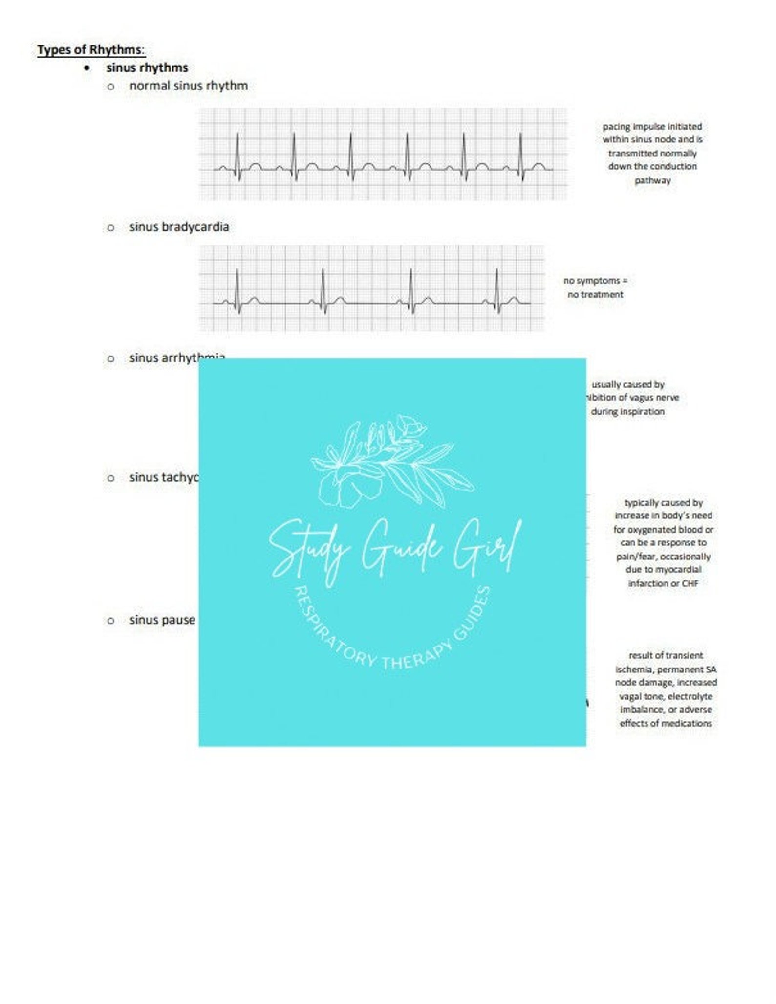 Study Guide - Electrocardiogram (EKG/ECG) - PDF Download - Etsy