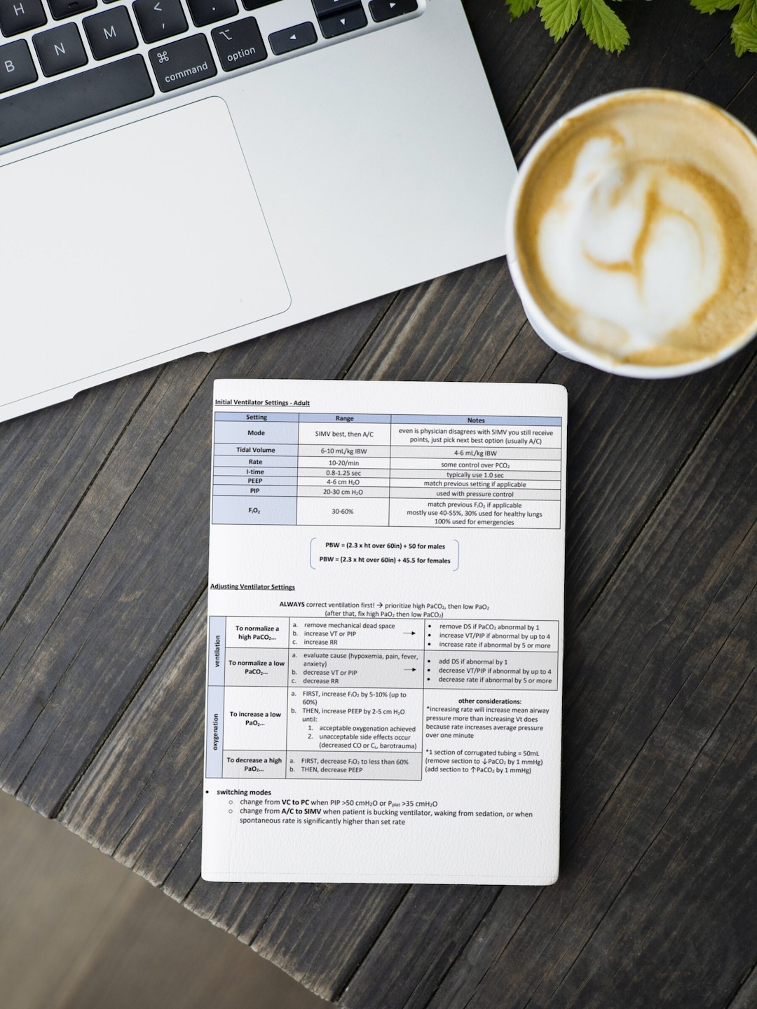 Clinical Simulations Review - CSE Exam Prep - PDF Study Guide - Etsy