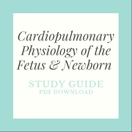 Study Guides Neonatal/pediatric BUNDLE 5 PDF Downloads - Etsy