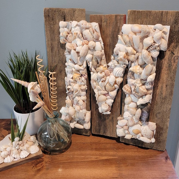 Shell Wall Decor - Etsy