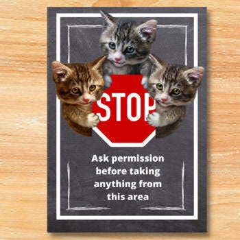 Choice Based Art Room Signs - Etsy