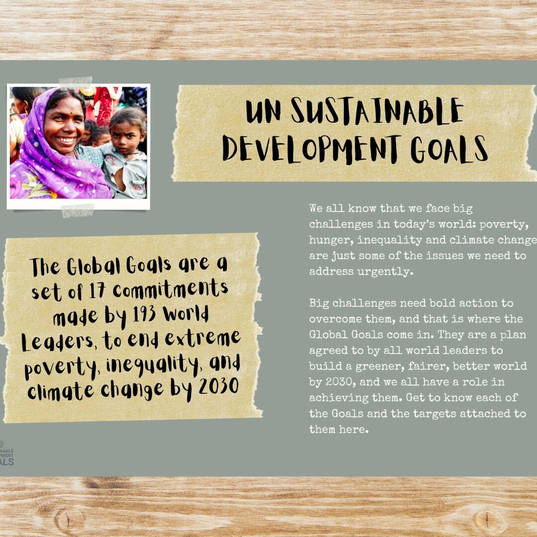 SDG Posters and Bunting - Etsy