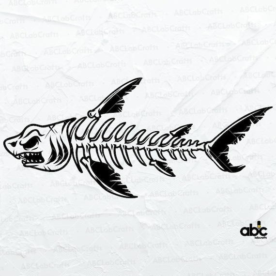 Shark Skeleton Drawing