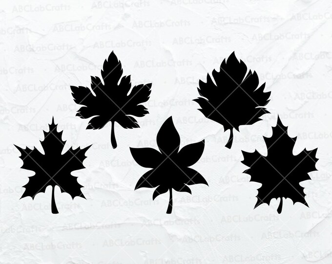 Maple Leaf SVG Bundle, Maple Leaf Outline Clipart, 15 Maple Leaves Cut ...