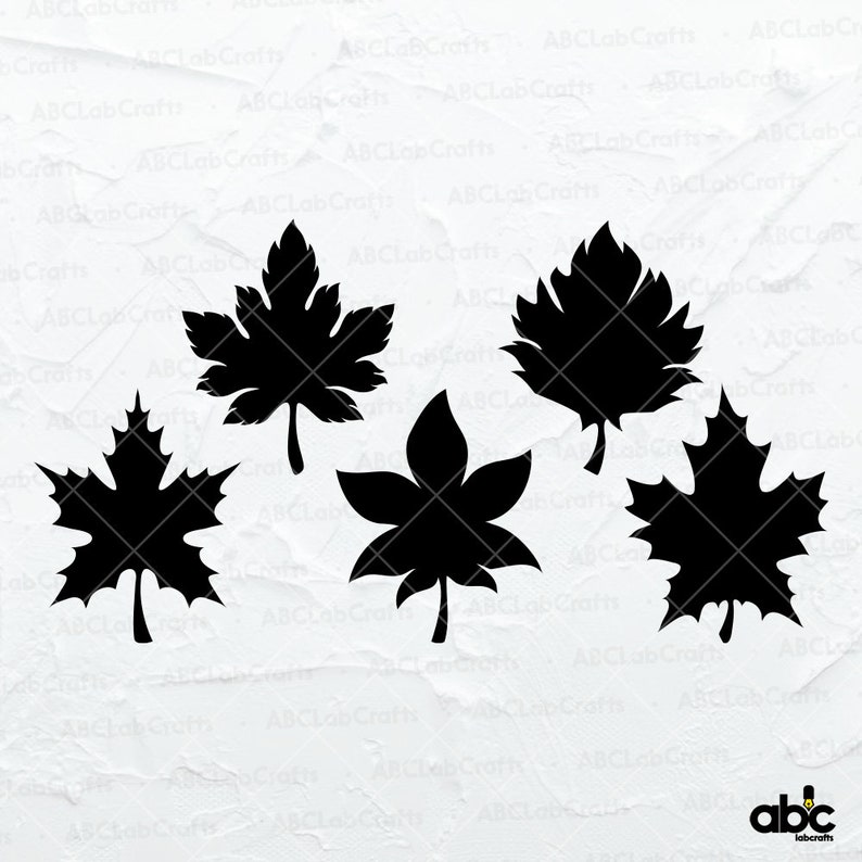 Maple Leaf Svg Bundle Canadian Leaf Svg Maple Leaf Silhouette Maple ...