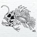 Skeleton Fish Svg File Aquatic Bone Svg Angler Fish Svg - Etsy