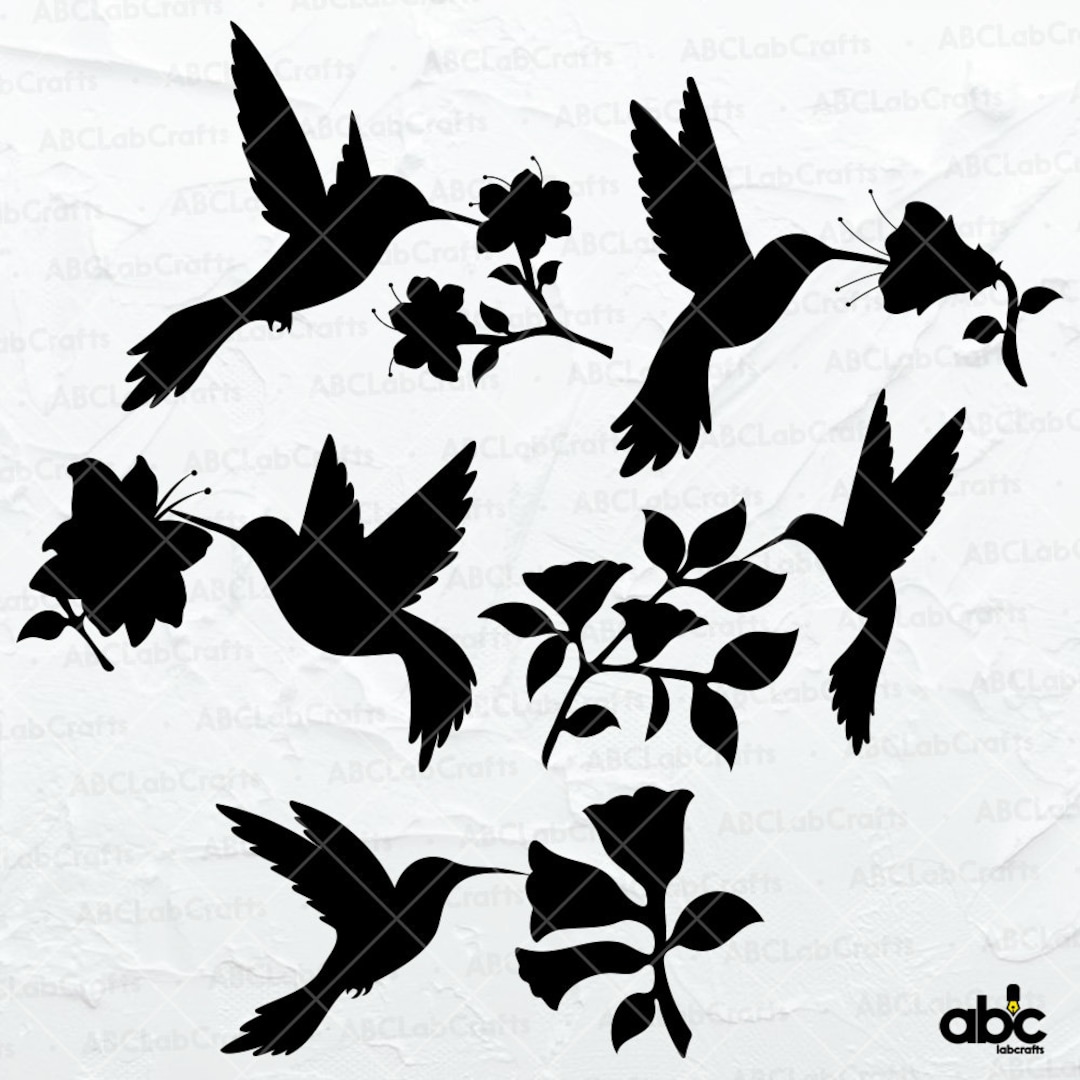 Hummingbird Svg Bundle | Hummingbird Clipart | Hummingbird Svg ...