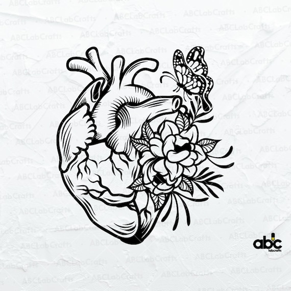 Cardiology Svg File Anatomical Heart Svg Cut Files For Cricut Etsy