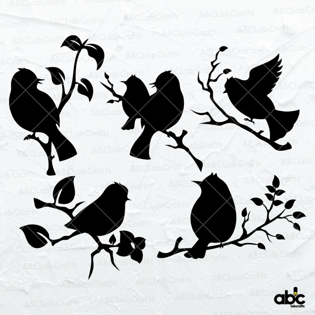 Birds Svg Bundle | Bird Clipart | Flowers Svg | Bird Svg | Floral Png ...