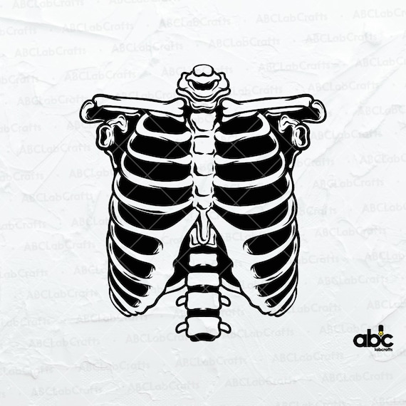 Skeleton Rib Cage Svg File Skeleton Bones Svg Skeleton - Etsy UK
