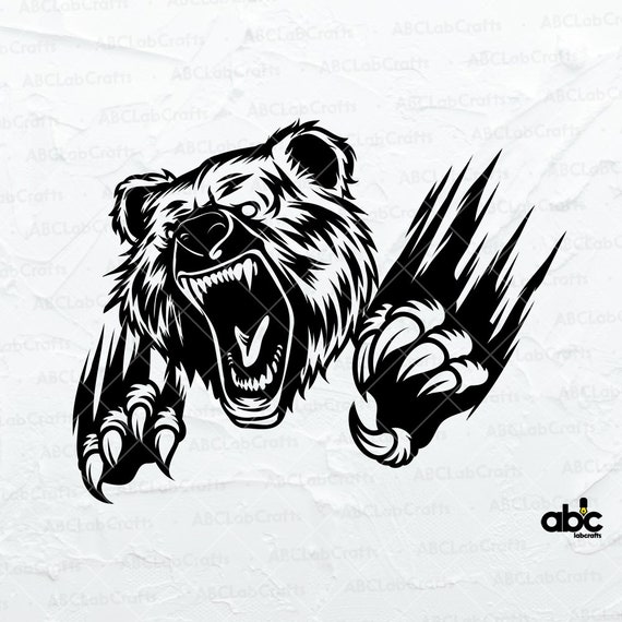Bear Claw Graphic
