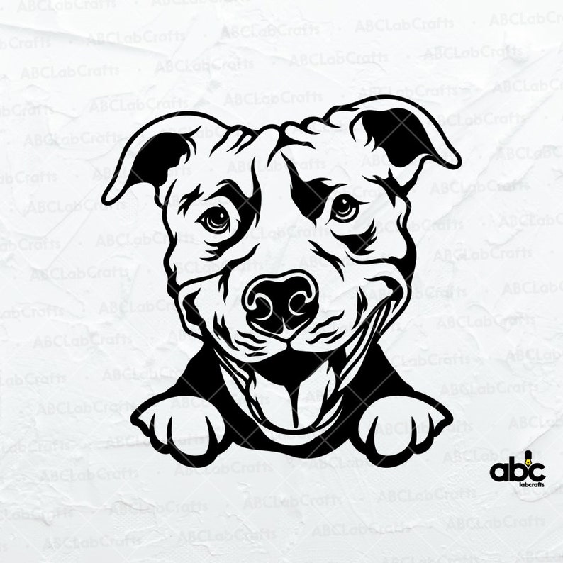 American Pit Bull Svg File Pit Bull Svg Peeking Dog Svg | Etsy