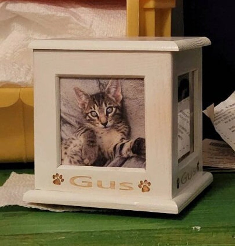 Pet Urn Memorial Cat Dog Cremation Box Small Pet Urn Pet - Etsy