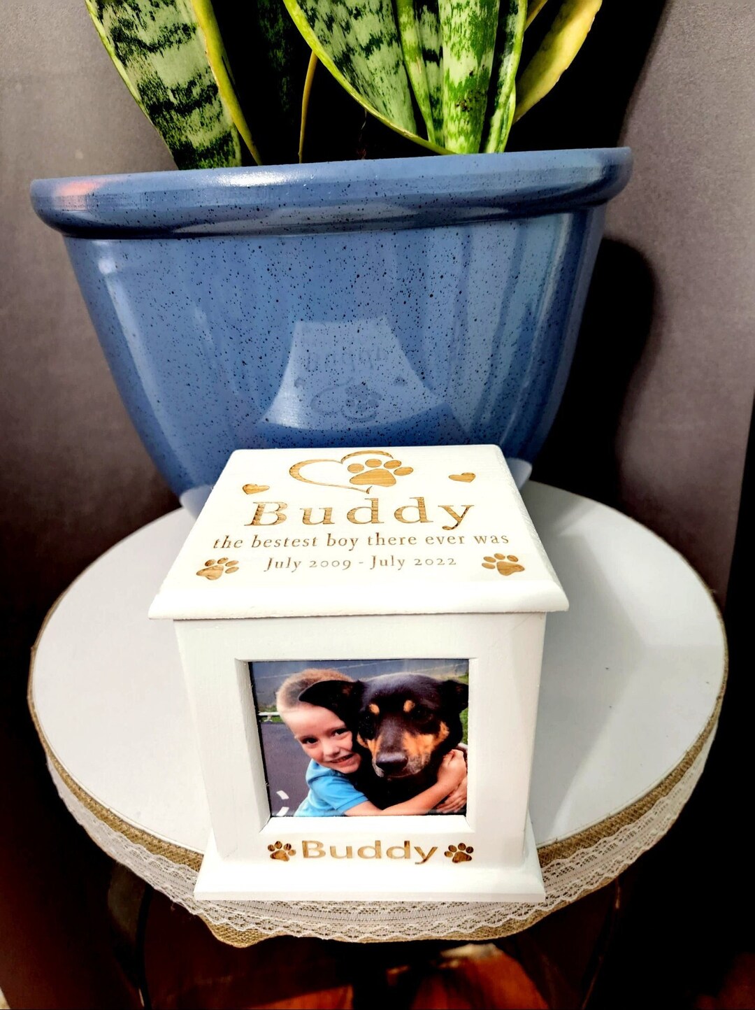 Pet Urn for Cat or Small Dog - Pet Cremation Box for Ashes ...