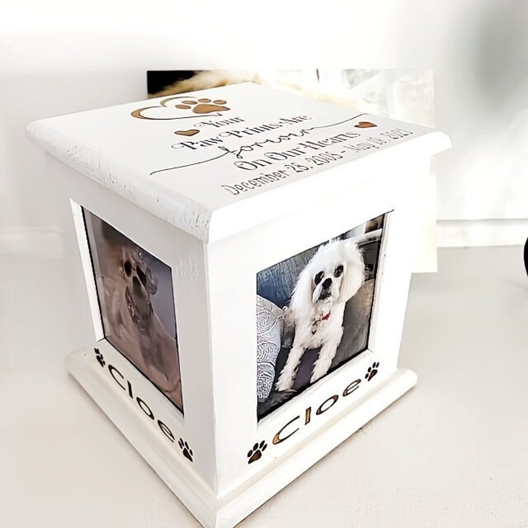 Urn for Dog | Pet Urn for Cat | Pet Keepsake With Picture | Pet ...