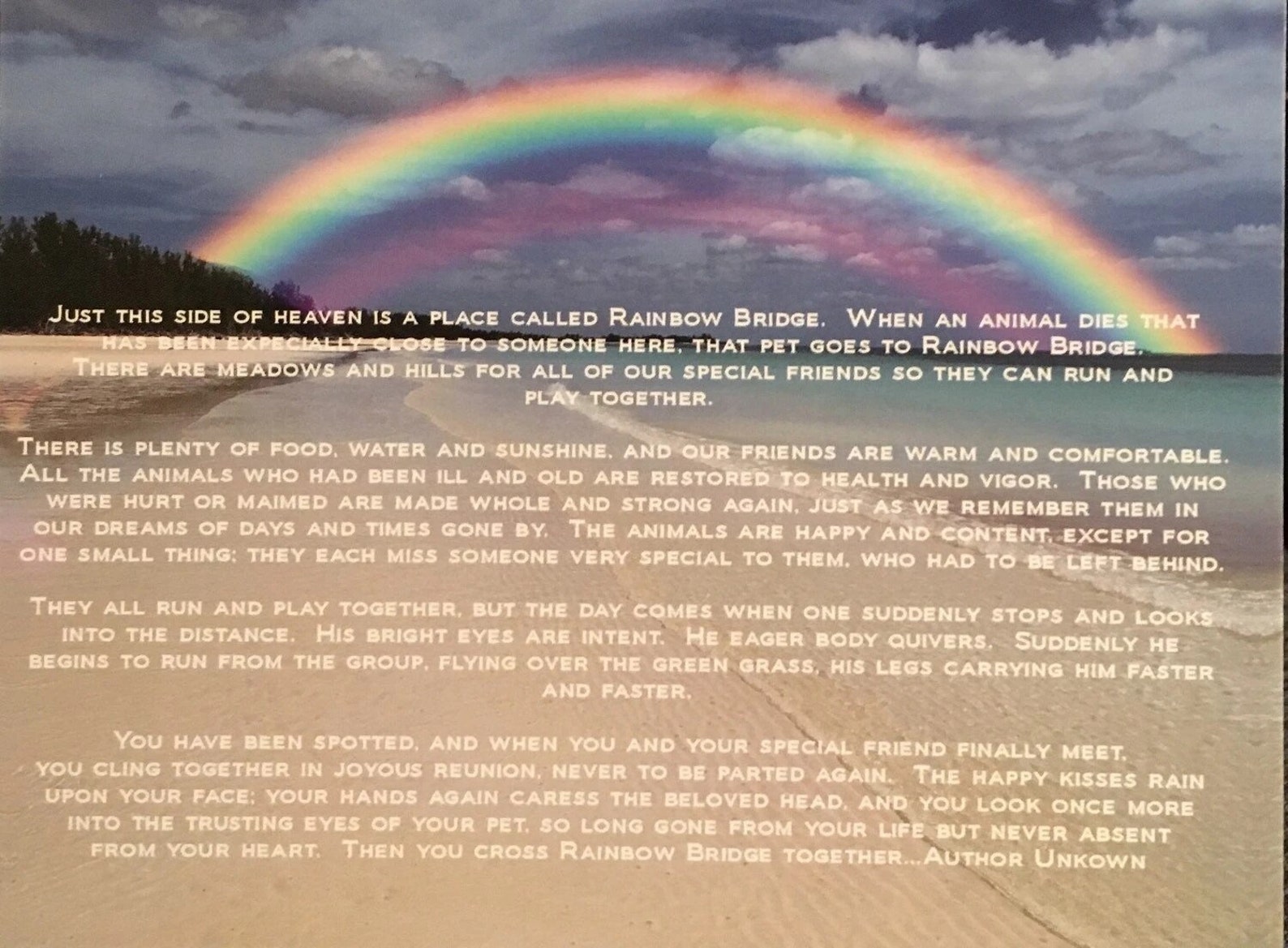 Pet Loss Rainbow Bridge Heart Necklace | Pet Loss Sympathy Gift | Cat ...