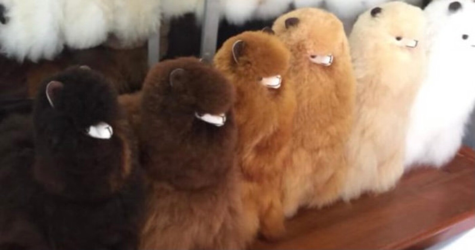 Alpaca fur toy handmade extremely soft / Alpaca Stuffed | Etsy