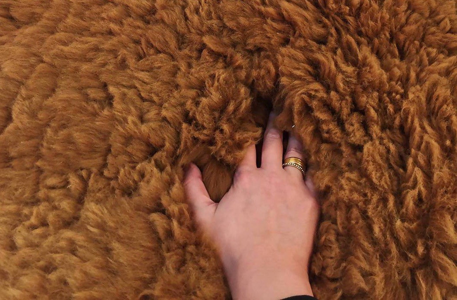 Luxurious genuine Alpaca fur rug Alpaca real fur rug Plush | Etsy