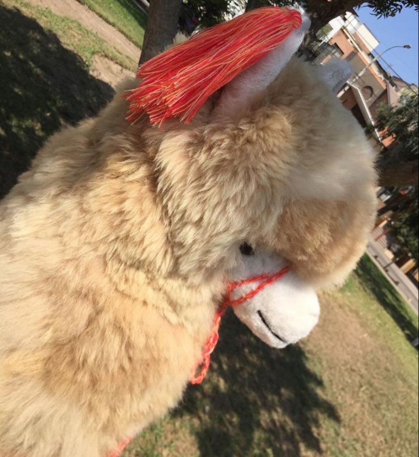 Big Alpaca Fur Toy Handmade Alpaca Big Stuffed Animal - Etsy