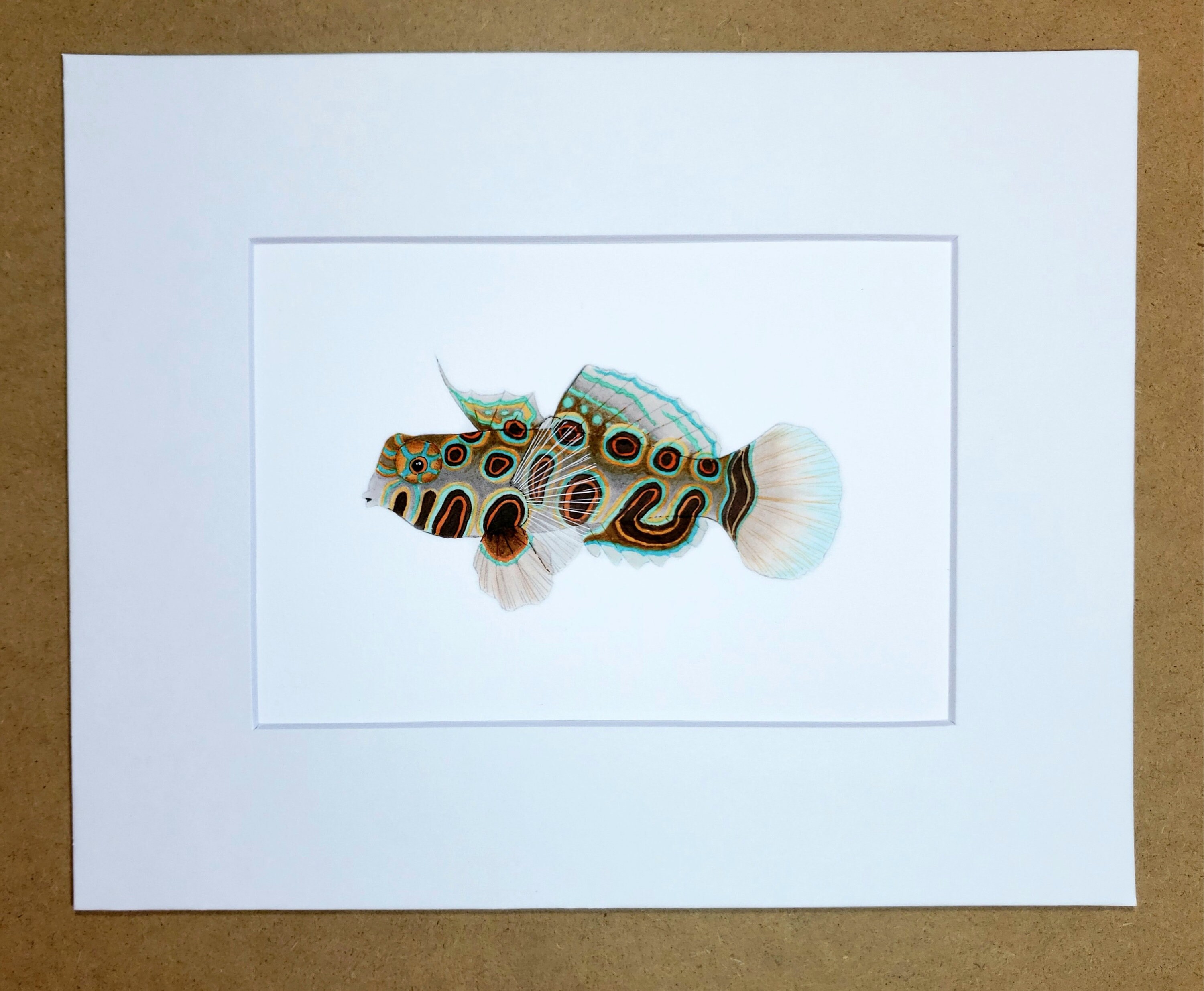 Spotted Mandarin Goby