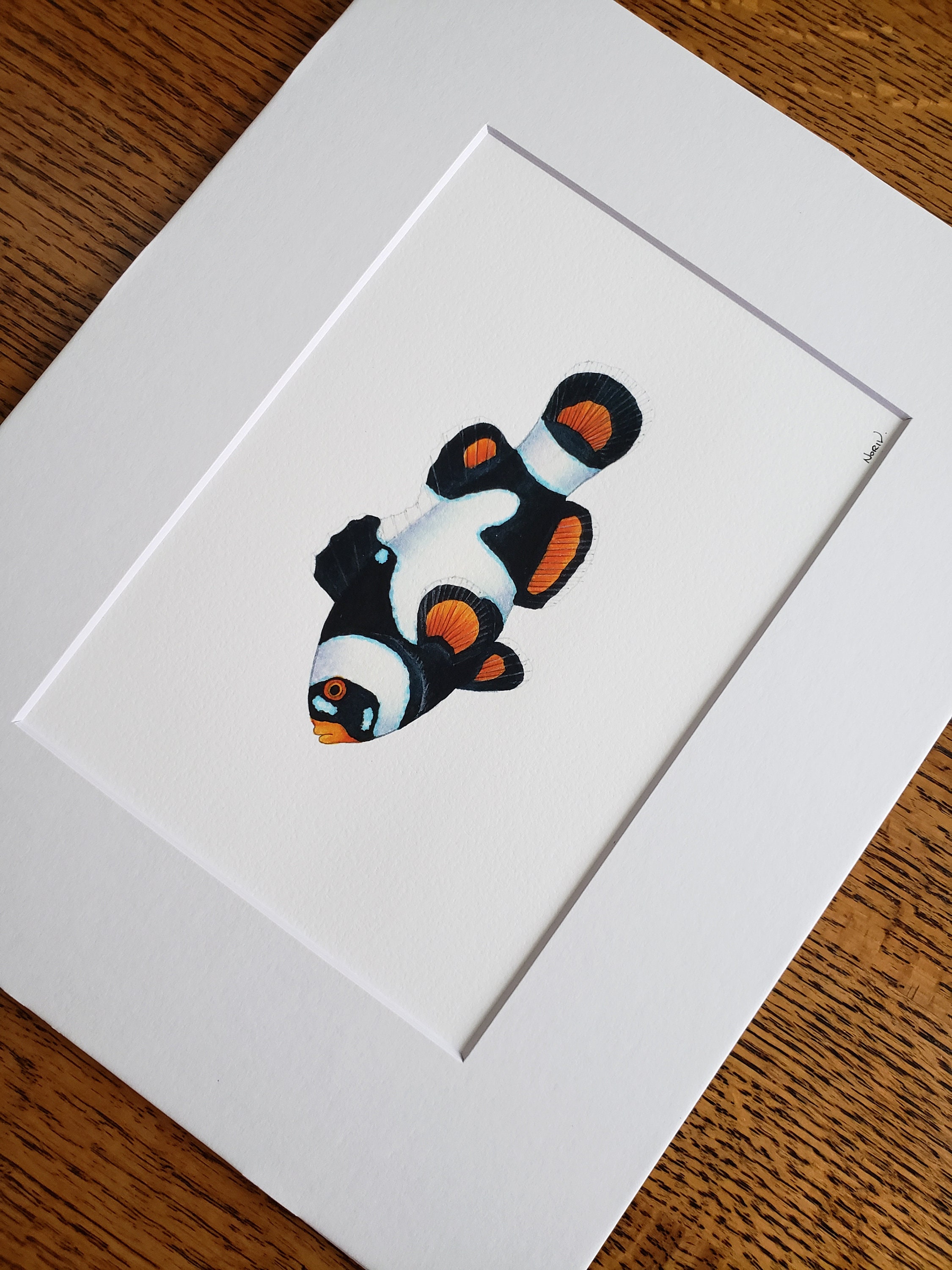 Black Picasso Clownfish