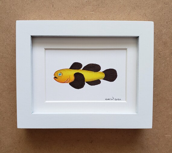 Panda Goby Miniature Drawing | Etsy
