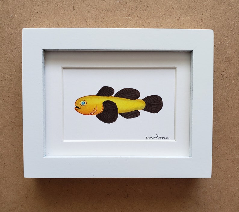 Panda Goby Miniature Drawing - Etsy