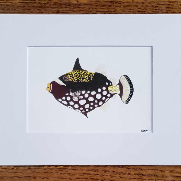 Triggerfish - Etsy