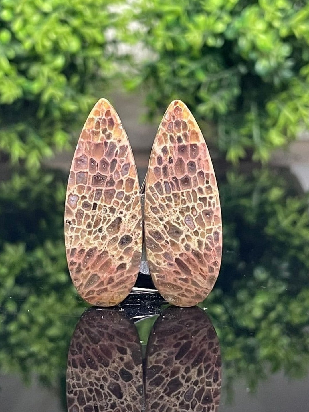 FOSSIL PALM ROOT With Pocket - Etsy