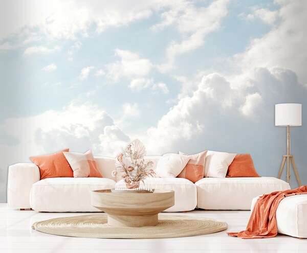 12 Cloud Type 3-part Montessori Cards, Cloud Cards for Kids, Cloud ...