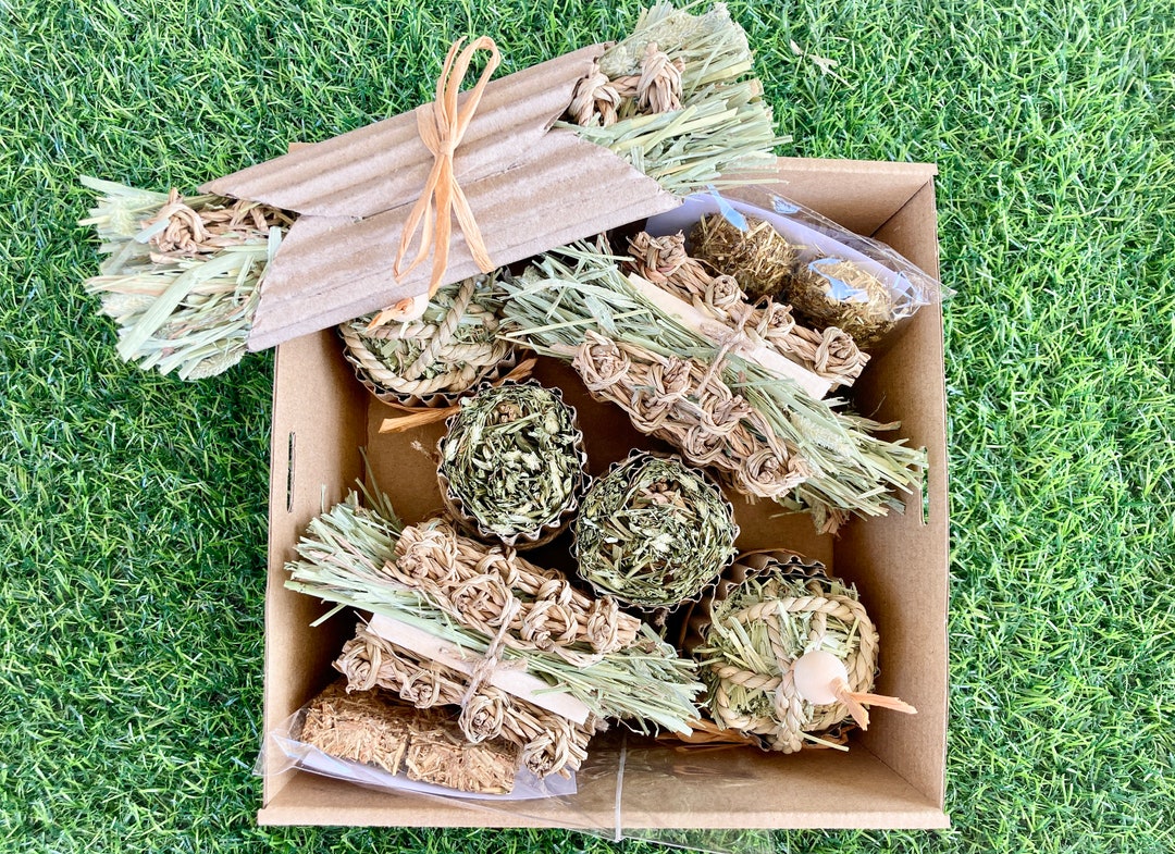 Large Mixed Enrichment Box / Rabbit Toys and Treats / Small Animal Toys ...