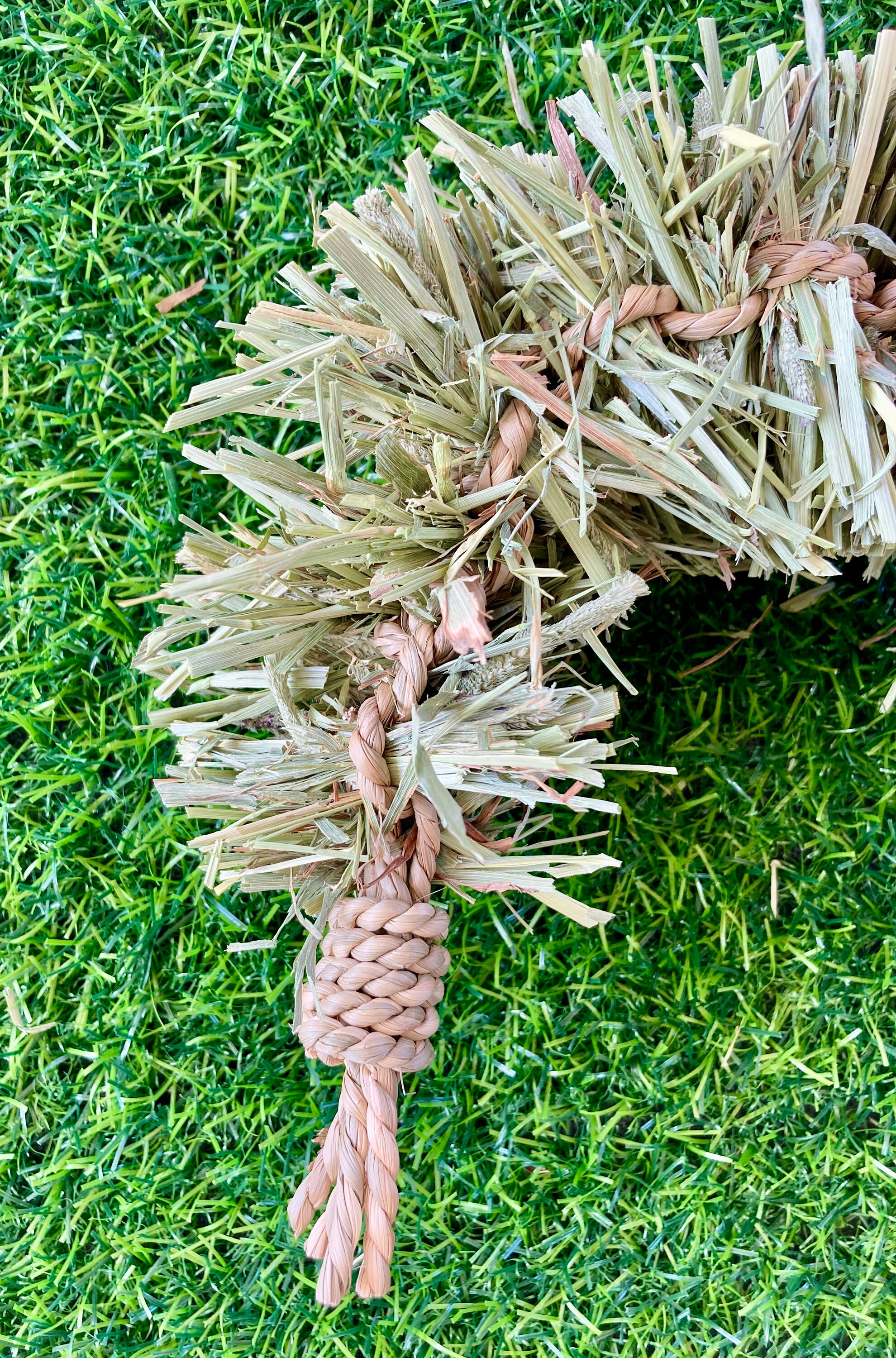 Hay & Seagrass Rope Rainbow — Nibbles & Knots