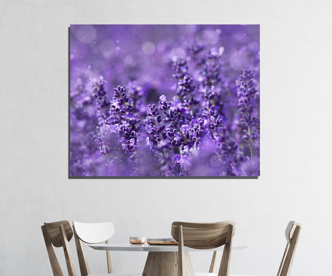 Lavender Canvas Wall Art, Canvas Print Home Decor, Framed Print ...