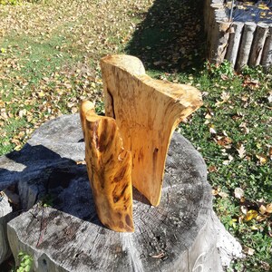 Twisted Nature Woodworking - Trembling Aspen Abstract Sculpture ...