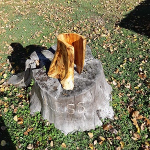 Twisted Nature Woodworking - Trembling Aspen Abstract Sculpture ...