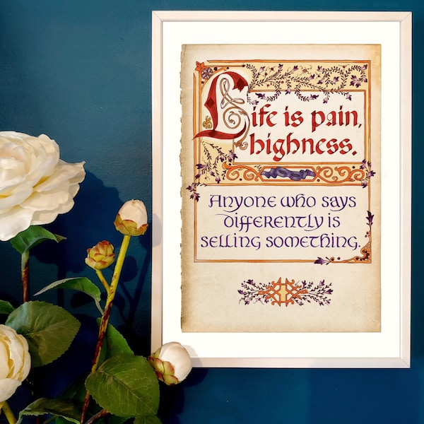 The Princess Bride - Etsy UK