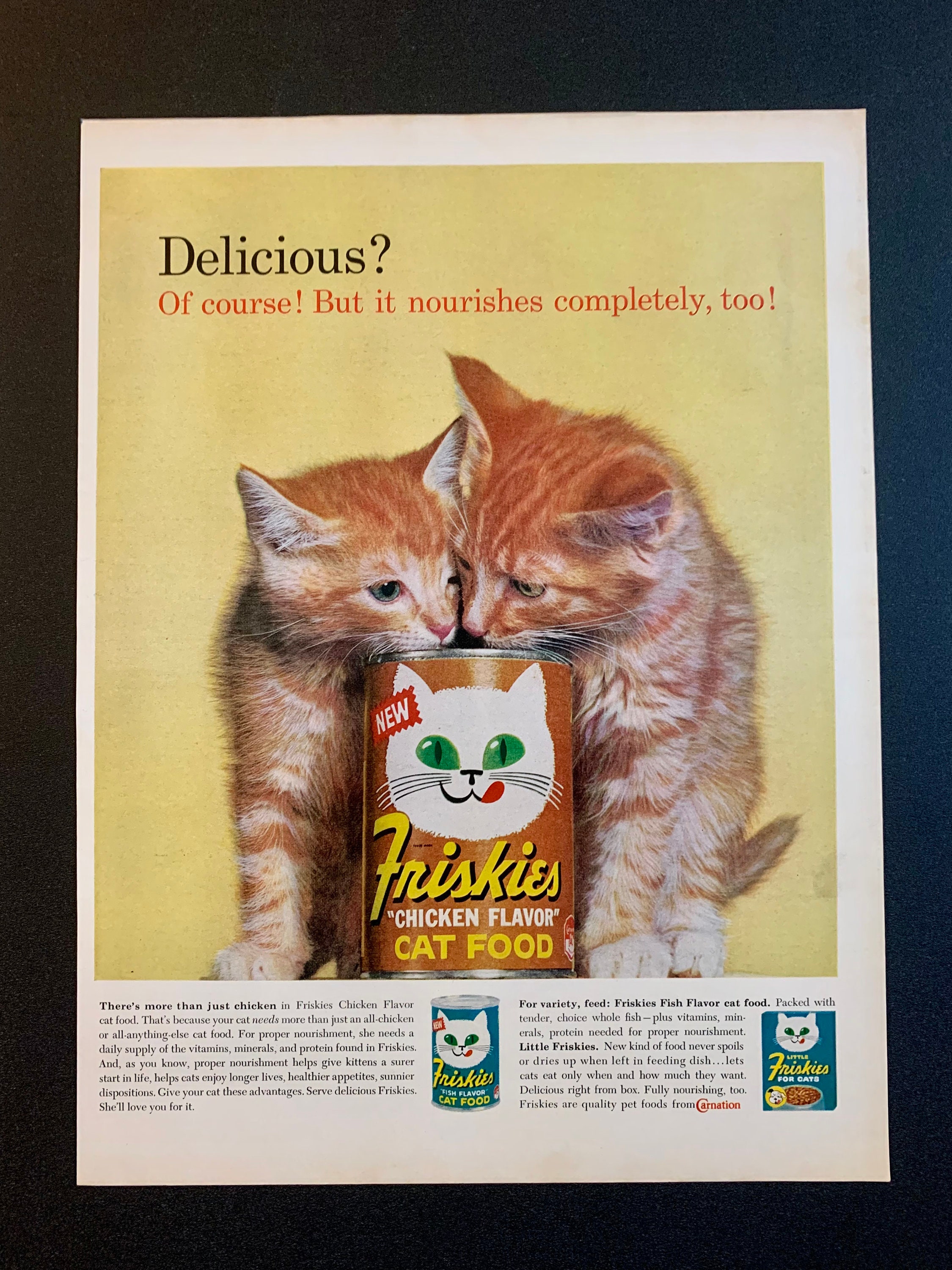 Friskies Commercial Cat